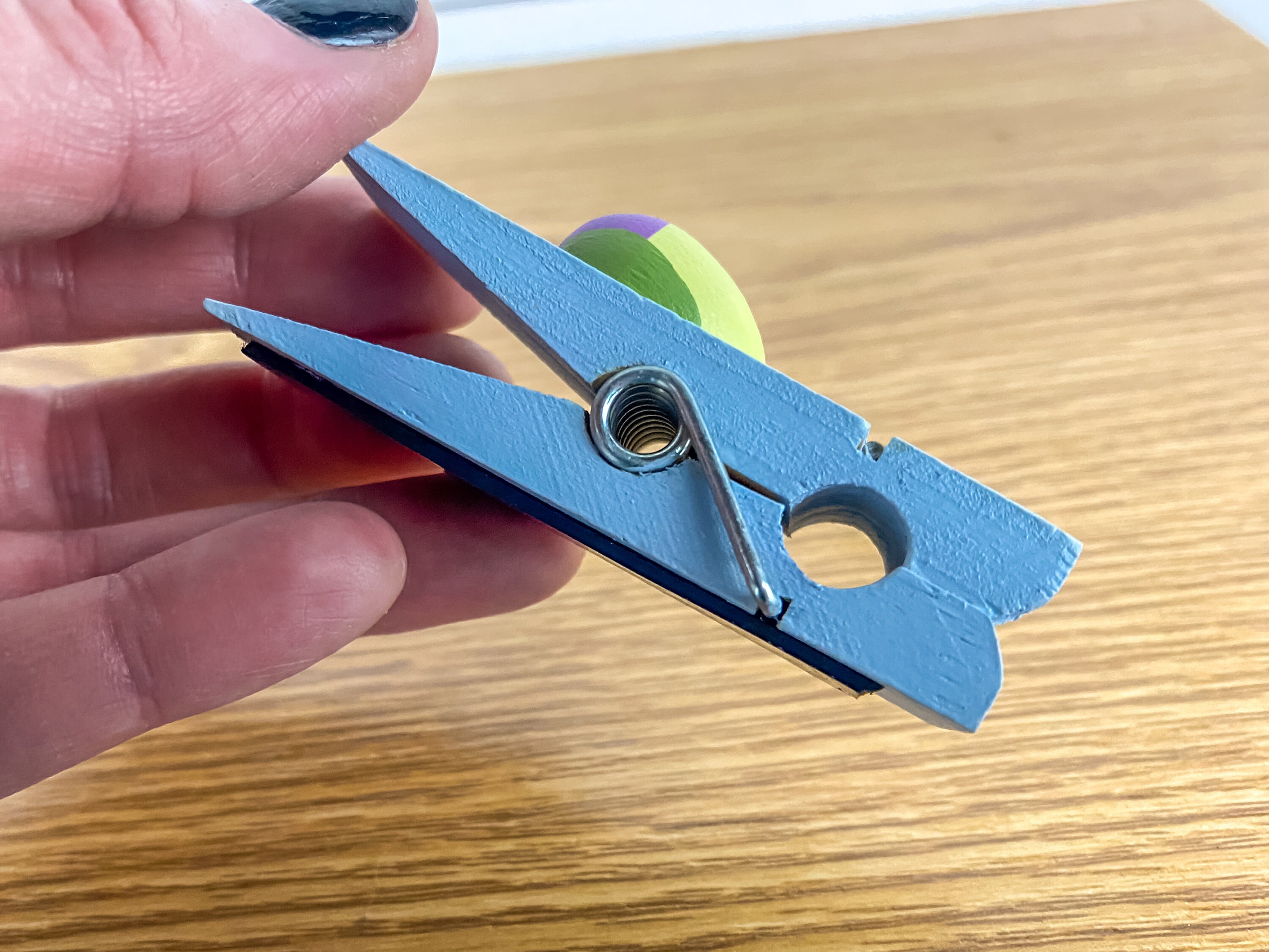 Gouldian Finch Clothespin Magnet | Hand-painted Wooden Magnet to Hold ...