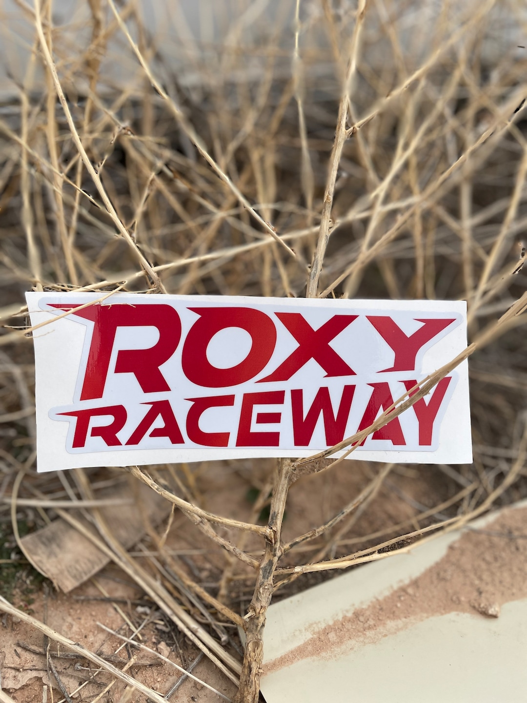 Roxy Raceway Vinyl Sticker - Etsy
