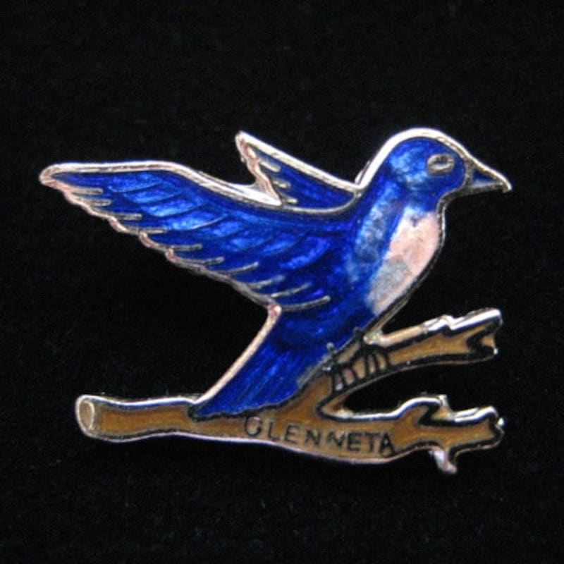 Bluebird Brooch - Etsy