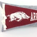 University of Arkansas Razorbacks Pennant Pillow Graduation Gift Room ...