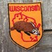 Wisconsin Vintage Souvenir Travel Patch by Voyager - Etsy