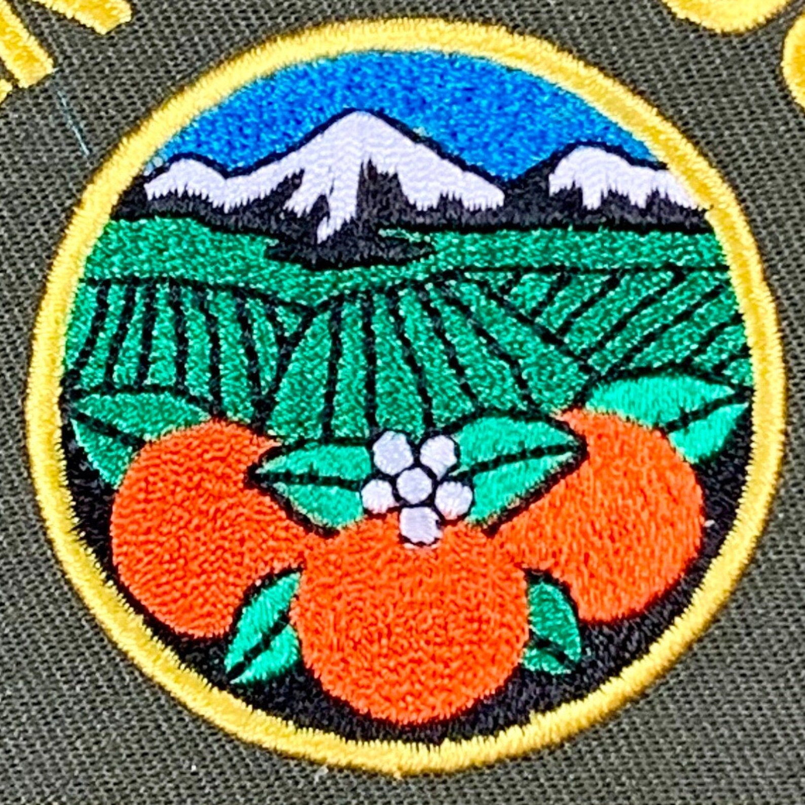 Orange County Parks California Parks and Rec Uniform Patch - Etsy
