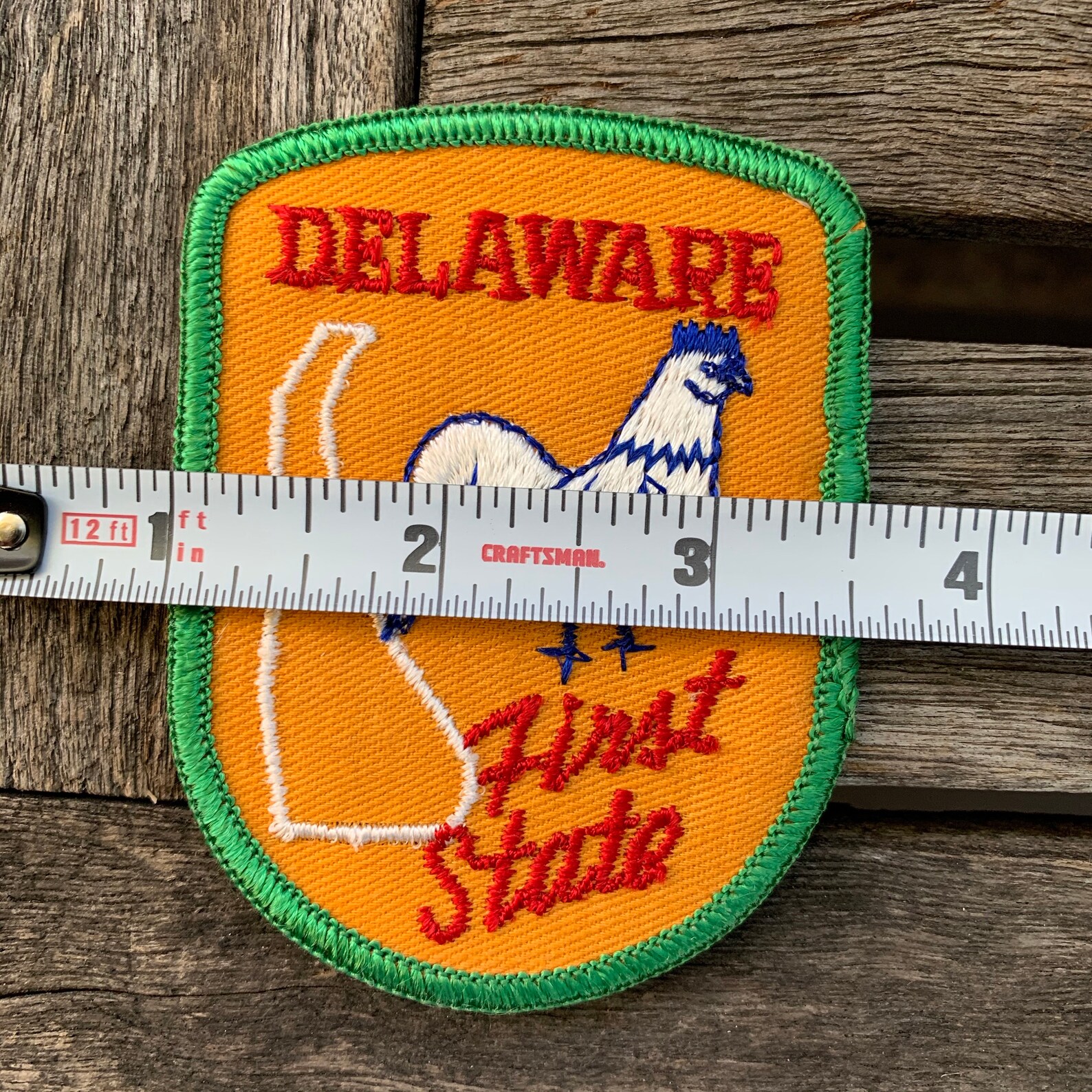 Delaware First State Vintage Souvenir Travel Patch | Etsy