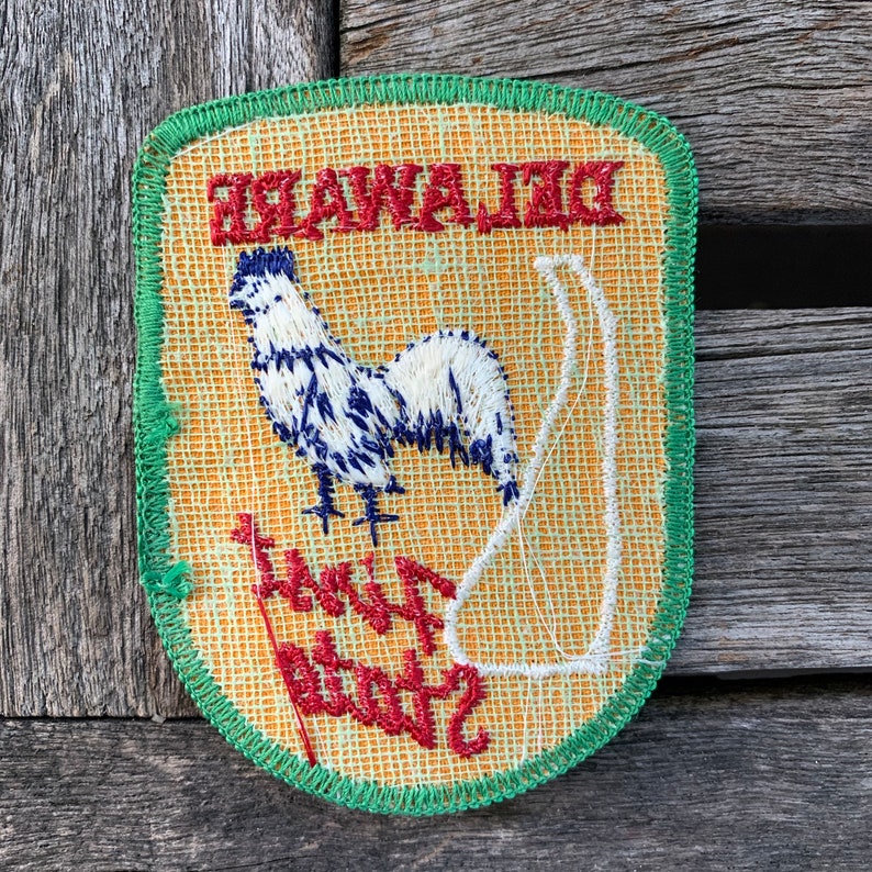 Delaware first State Vintage Souvenir Travel Patch - Etsy
