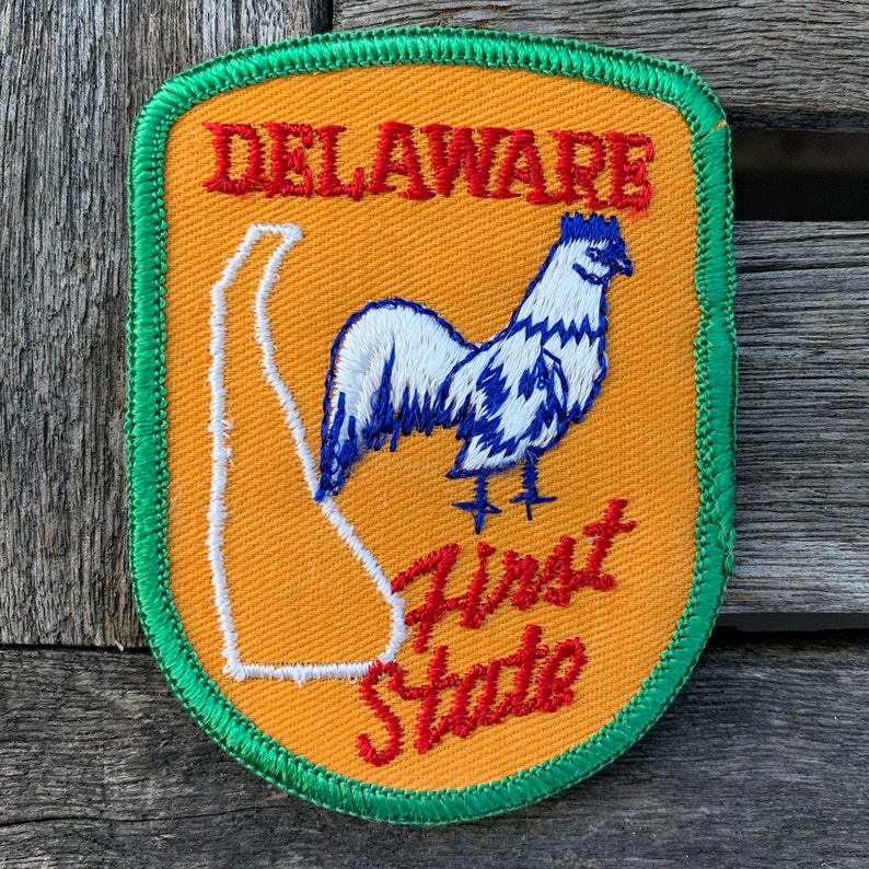 Delaware first State Vintage Souvenir Travel Patch - Etsy