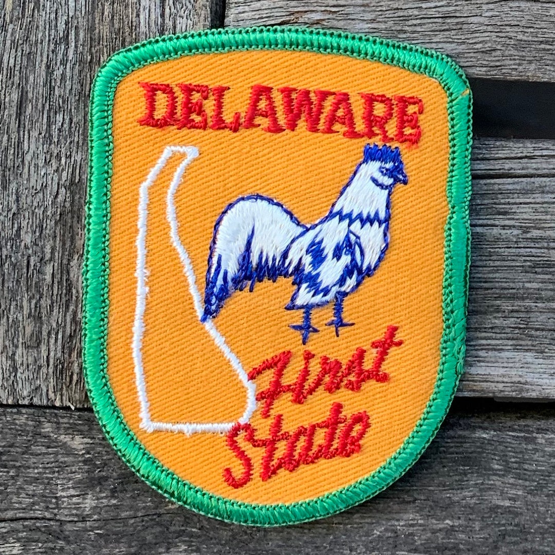 Delaware first State Vintage Souvenir Travel Patch - Etsy