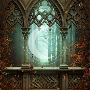 Castle Window Fantasy Digital Background, Photo Editing Gothic Archway ...