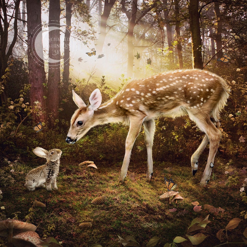 Baby Deer Art - Etsy