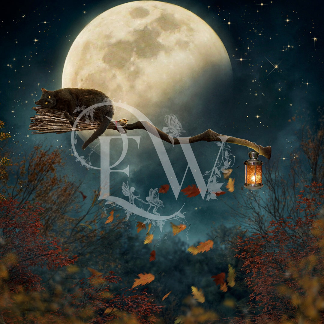 Halloween Witchy Digital Background, Witch Broom and Black Cat Photo ...