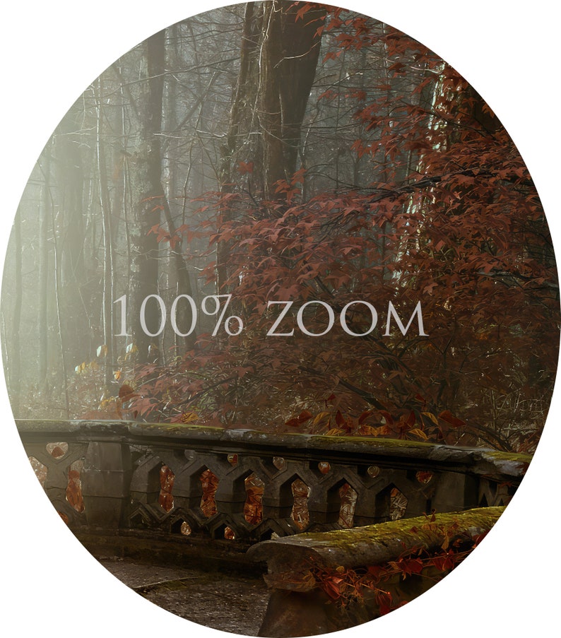 Mystical Forest Digital Background: Photo Compositing Overlay (digital ...