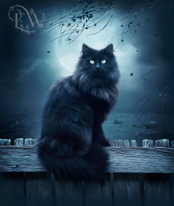 Black Cat Art Black Cat Picture Black Cat Print Fantasy Cat Etsy