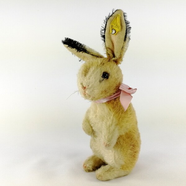 Steiff Bunny - Etsy