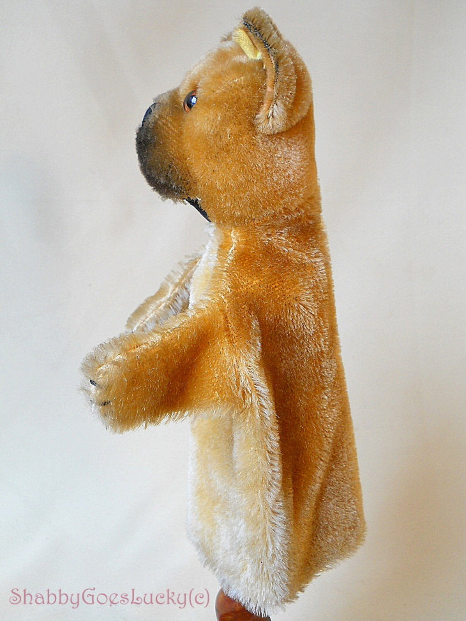 Steiff Hand Puppet Boxer Dog With Ids Vintage 1951 to 1963 - Etsy