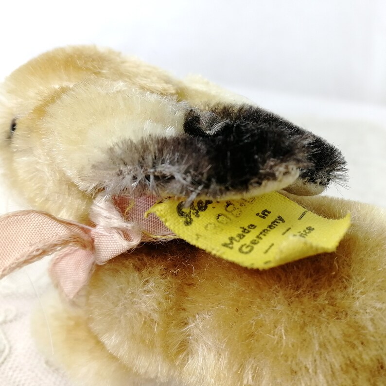 Steiff Bunny Rabbit With All Ids 4 Inches Vintage 1959 to 1964 | Etsy