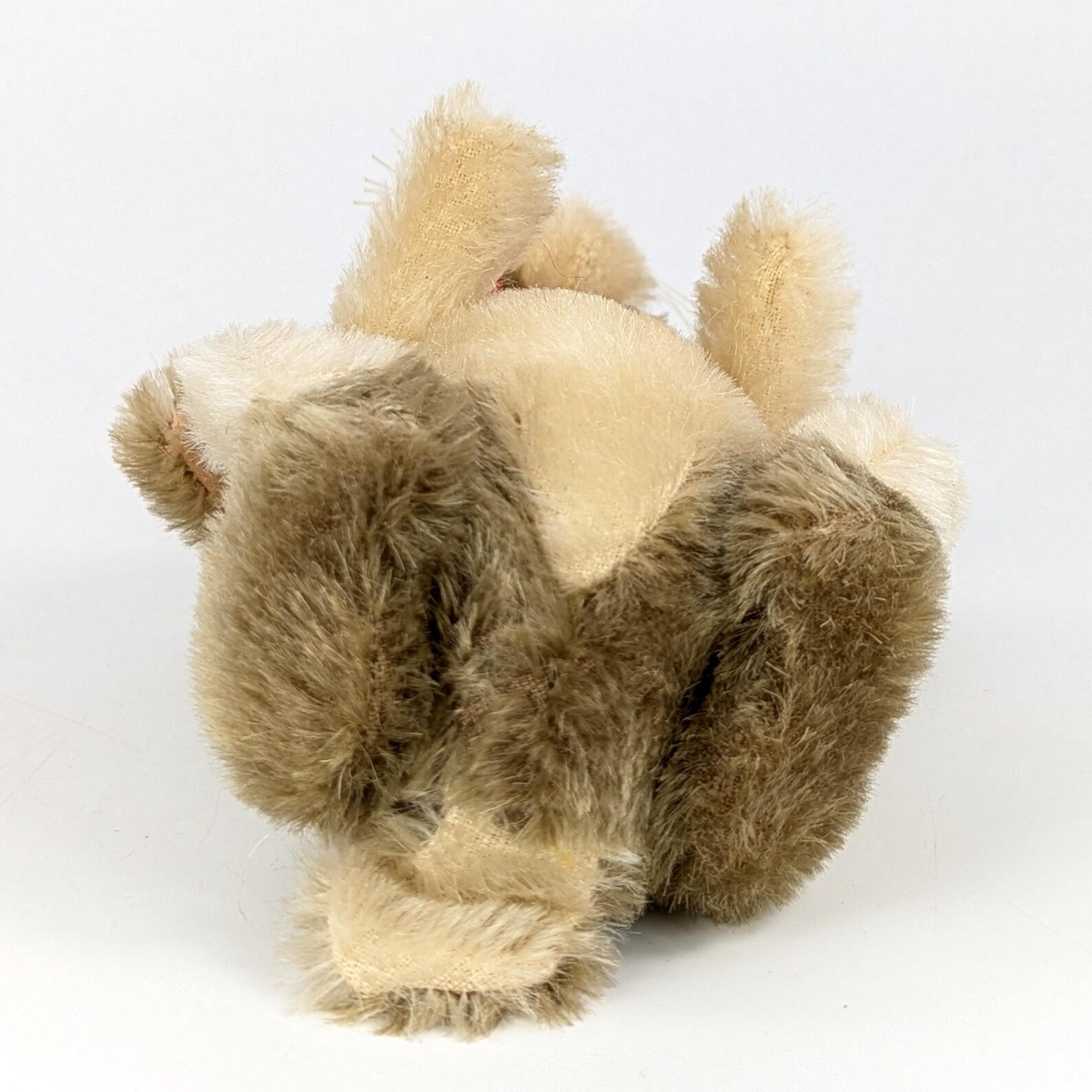 Steiff Dutch Rabbit 1911 Replica Museum Collection 1988 Produced Mint ...