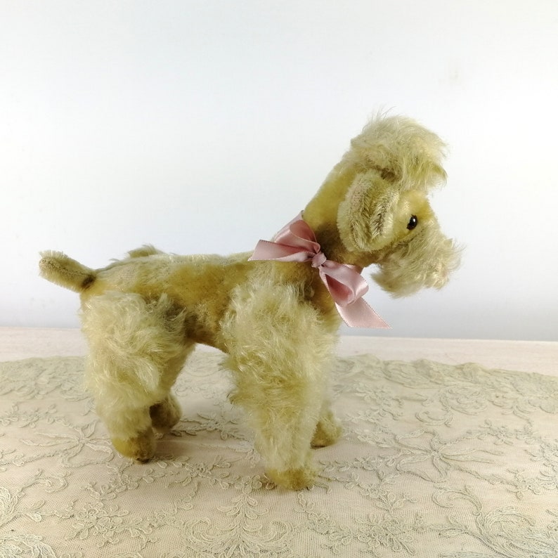Steiff Poodle Snobby Fully Jointed 9 Inches Vintage 1954 - Etsy