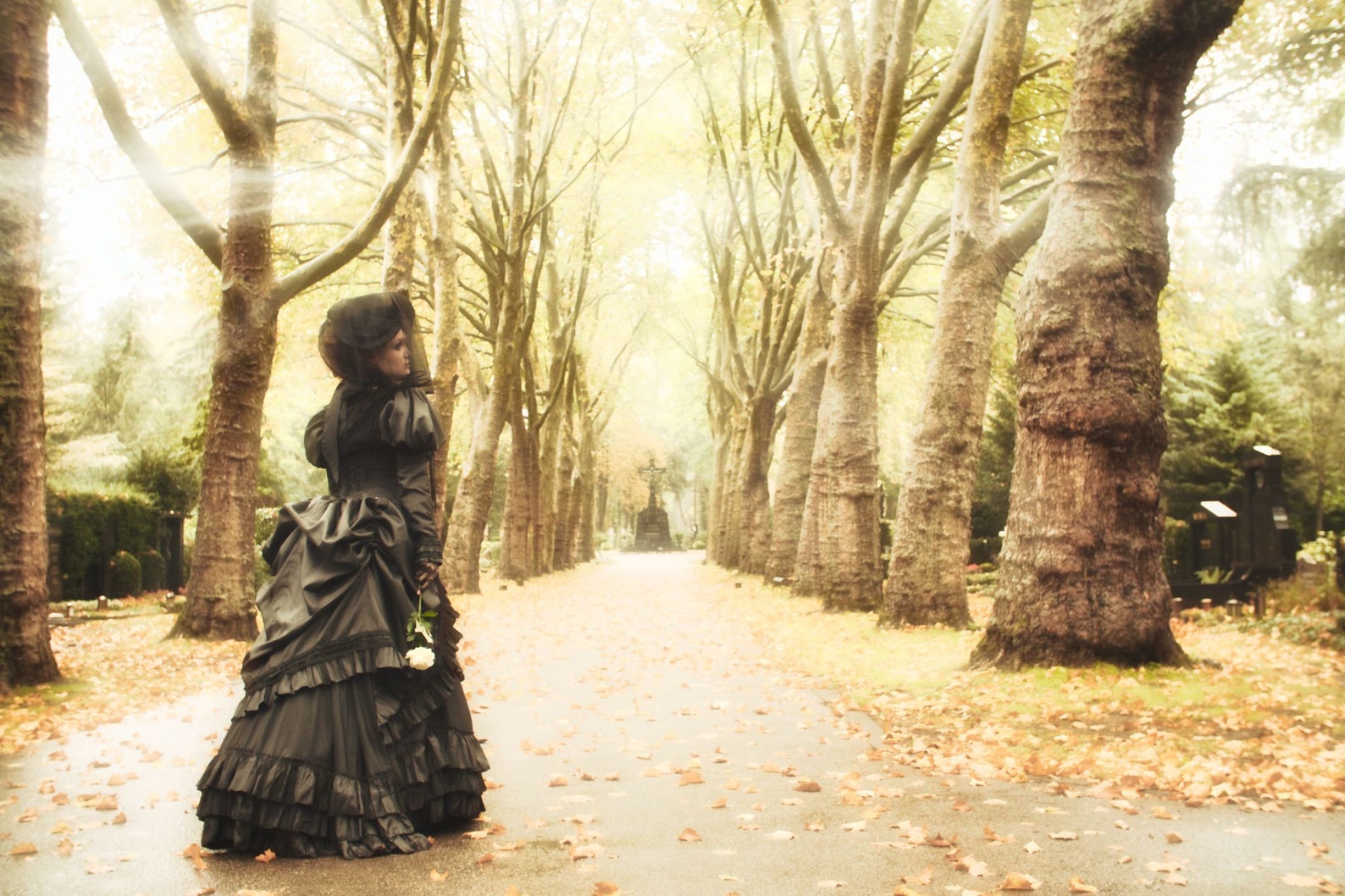 Victorian Goth Mourning Bustle Dress Romantic Goth WGT Horror Haunting ...