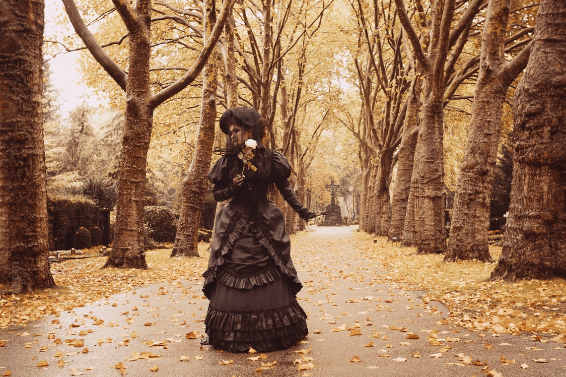 Victorian Goth Mourning Bustle Dress Romantic Goth WGT Horror Haunting ...