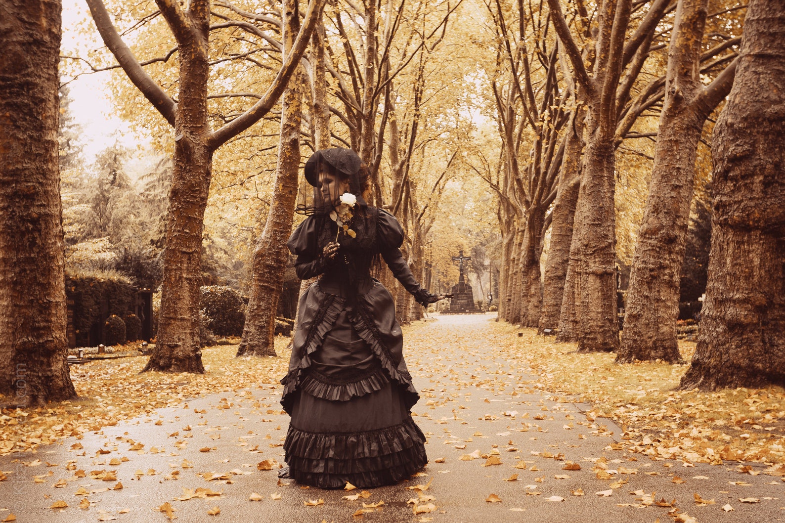 Victorian Goth Mourning Bustle Dress - Romantic Goth - WGT - Horror ...