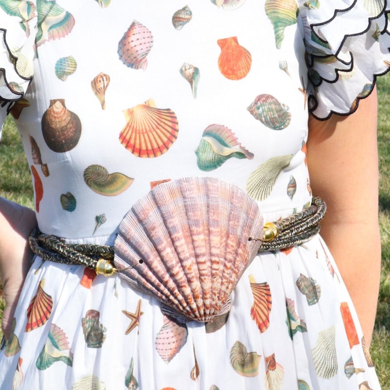Seashell Belt - Etsy