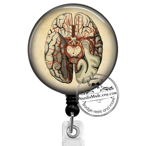 Anatomical Brain Diagram Retractable Badge Reel Neurology - Etsy