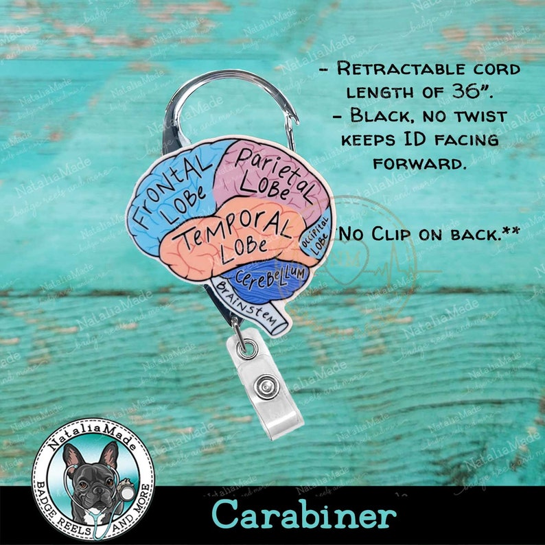 Anatomical Brain Diagram Retractable Badge Reel Neurology - Etsy