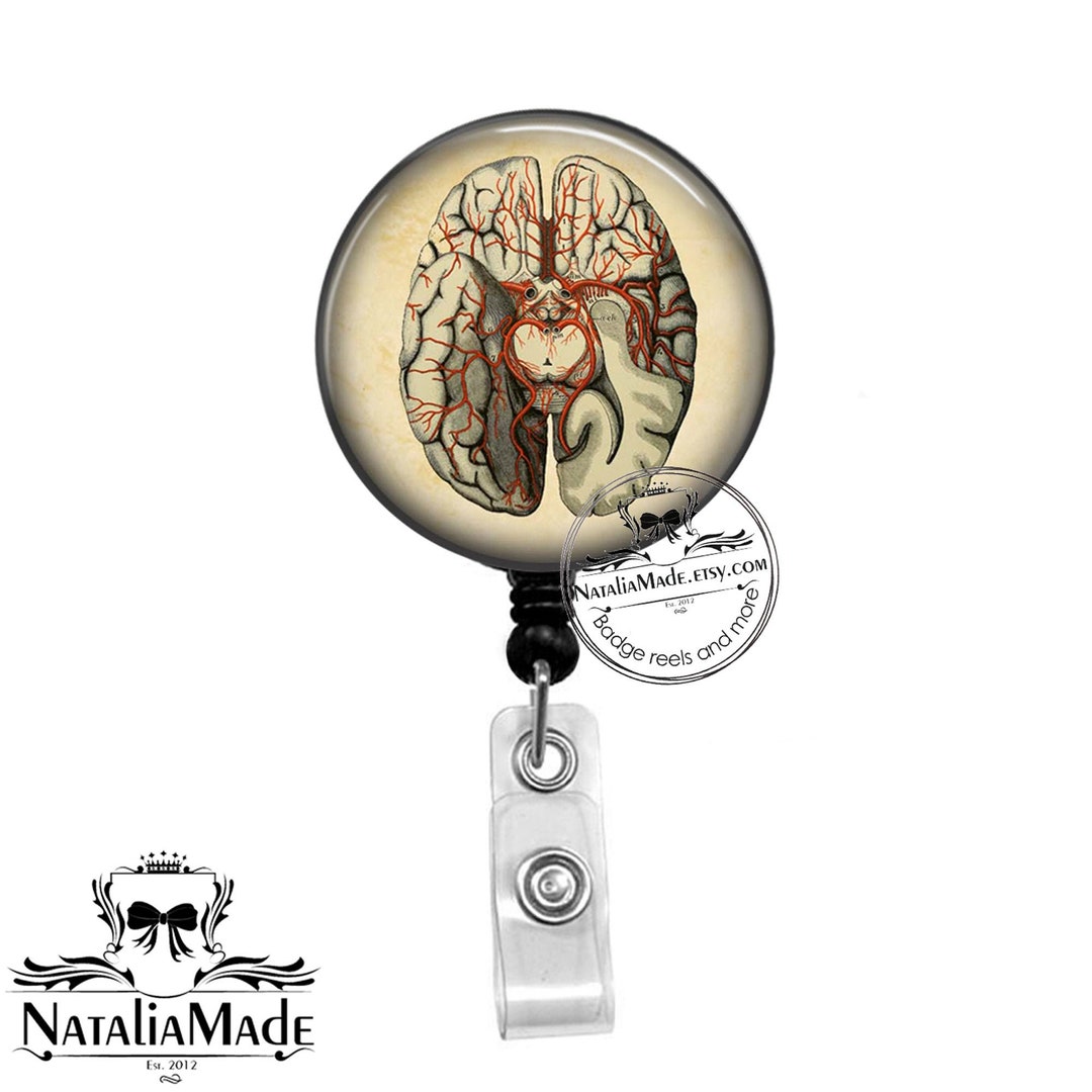 Anatomical Brain Badge Reel - Retractable Brain ID Badge Holder ...