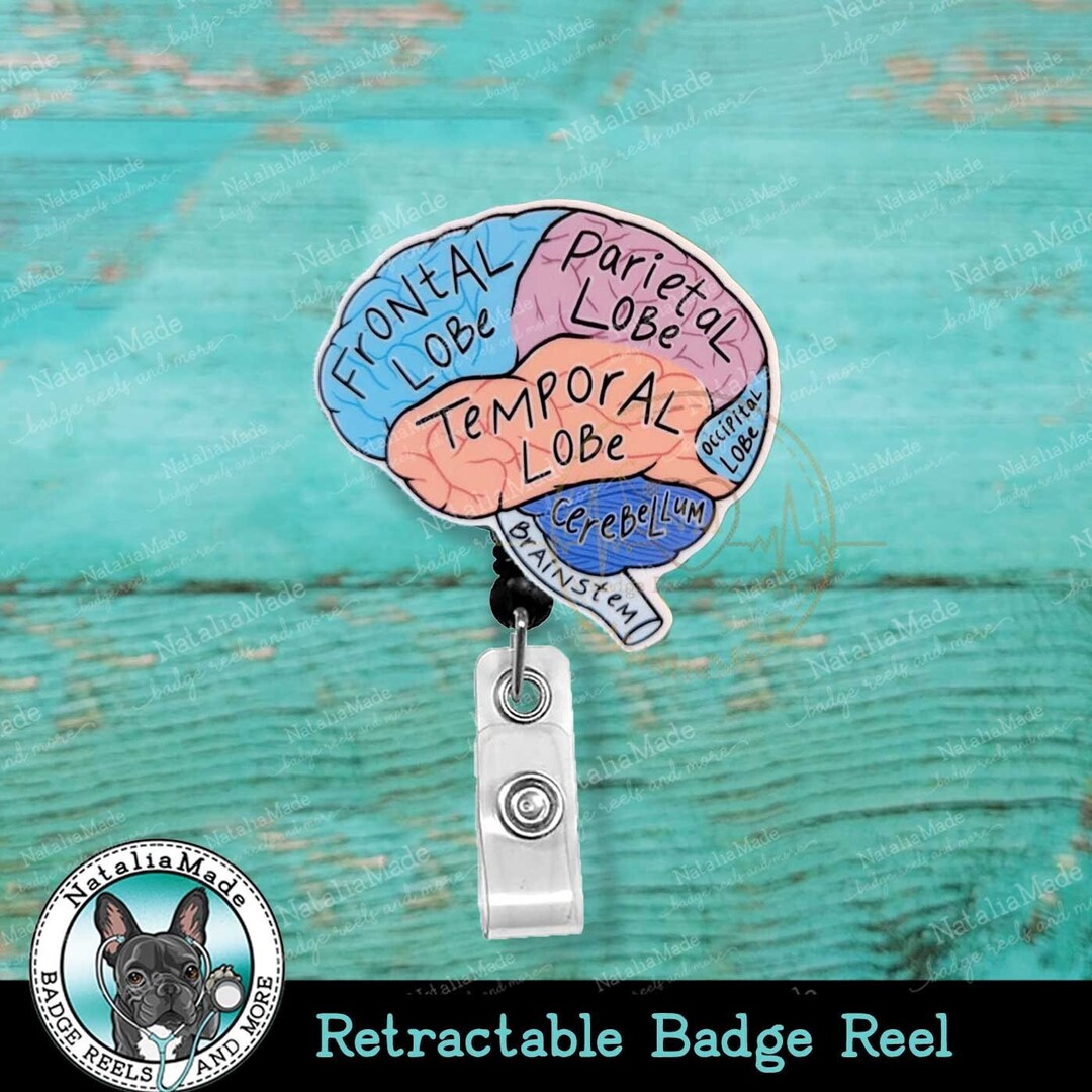 Anatomical Brain Diagram Retractable Badge Reel Neurology - Etsy
