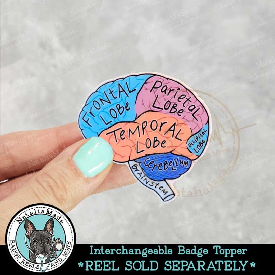 Interchangeable Badge Topper - Anatomical Brain Diagram Neurology EEG ...