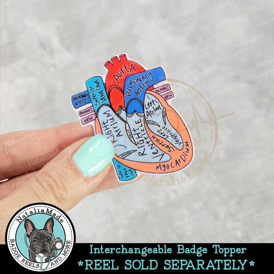 Interchangeable Badge Topper - Anatomical Heart Diagram Cardiology ...