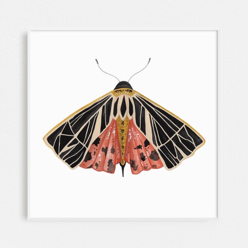 Pastel Watercolor Moth. Pink Winged Moth Art. Unique Nursery | Etsy