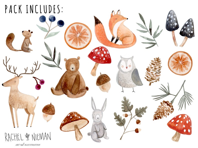 Woodland Animals Watercolor Clipart: Fall Forest Set (digital Download ...