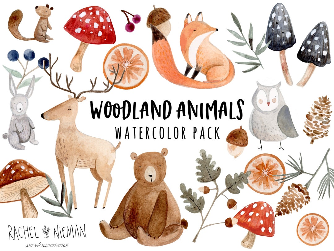 Woodland Animals Watercolor Clipart: Fall Forest Set (digital Download ...