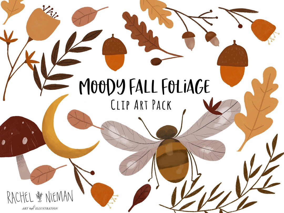 Moody Fall Foliage Clip Art | Autumn Nature - Acorn, Leaves, Moon, Bee ...
