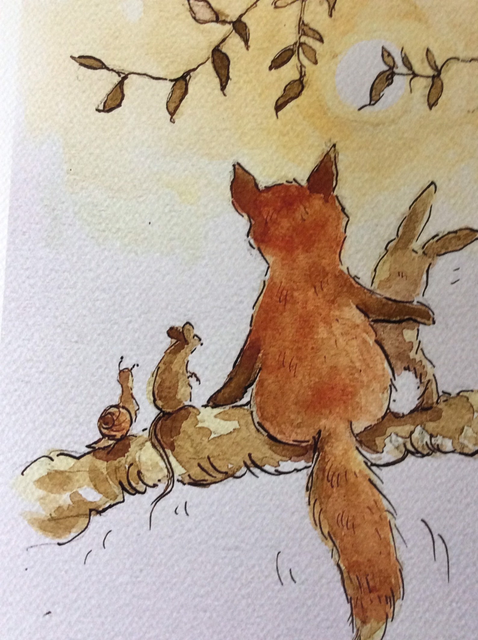Friends, Woodland Animals, Together, Fox, Rabbits, Forest Creatures ...