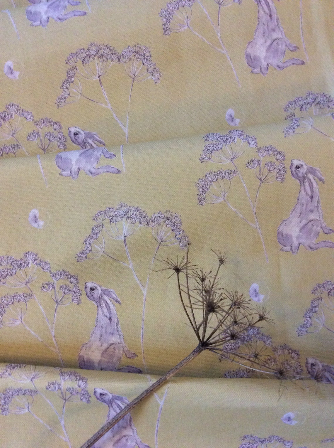 Hare Fabric, Cow Parsley and Hares, Organic Cotton Fabric, Countryside ...