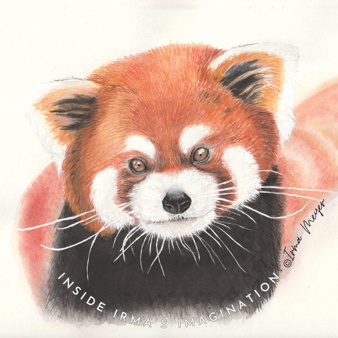 Red Panda Watercolor Print Pin Button Badge