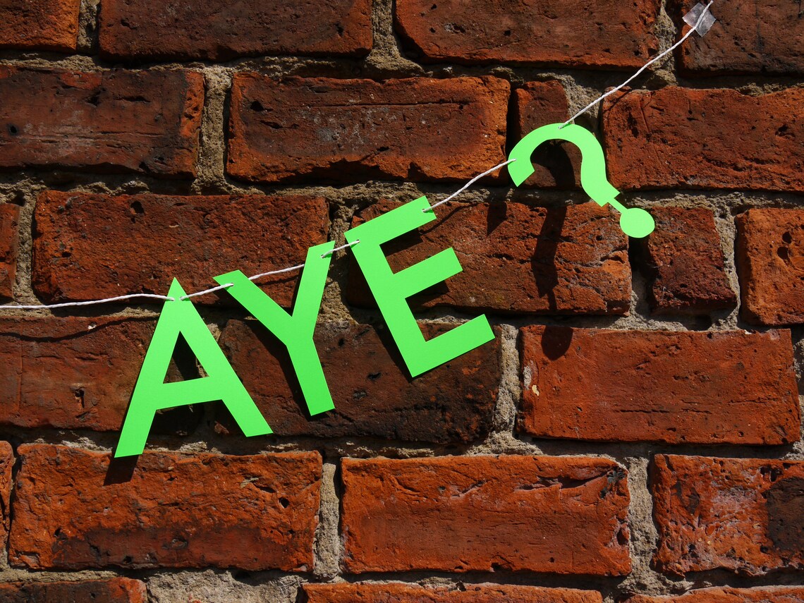 DID YE AYE Glasgow Scottish Banner Scottish Slang Humour - Etsy