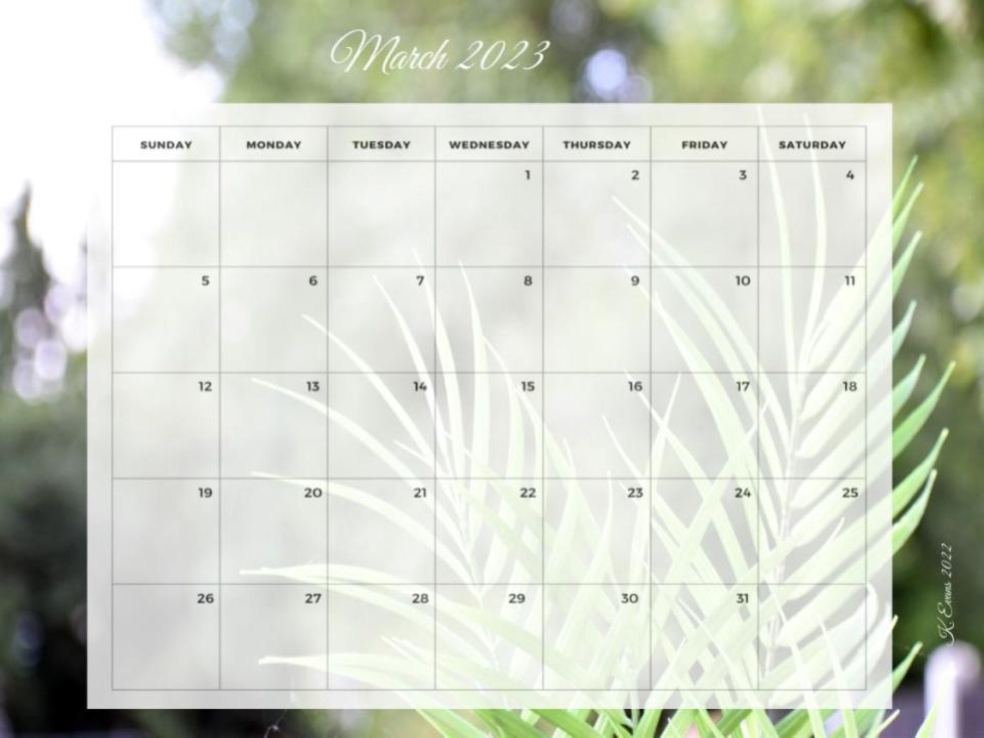 2023 Botanical Printable Calendar PDF Photography - Etsy