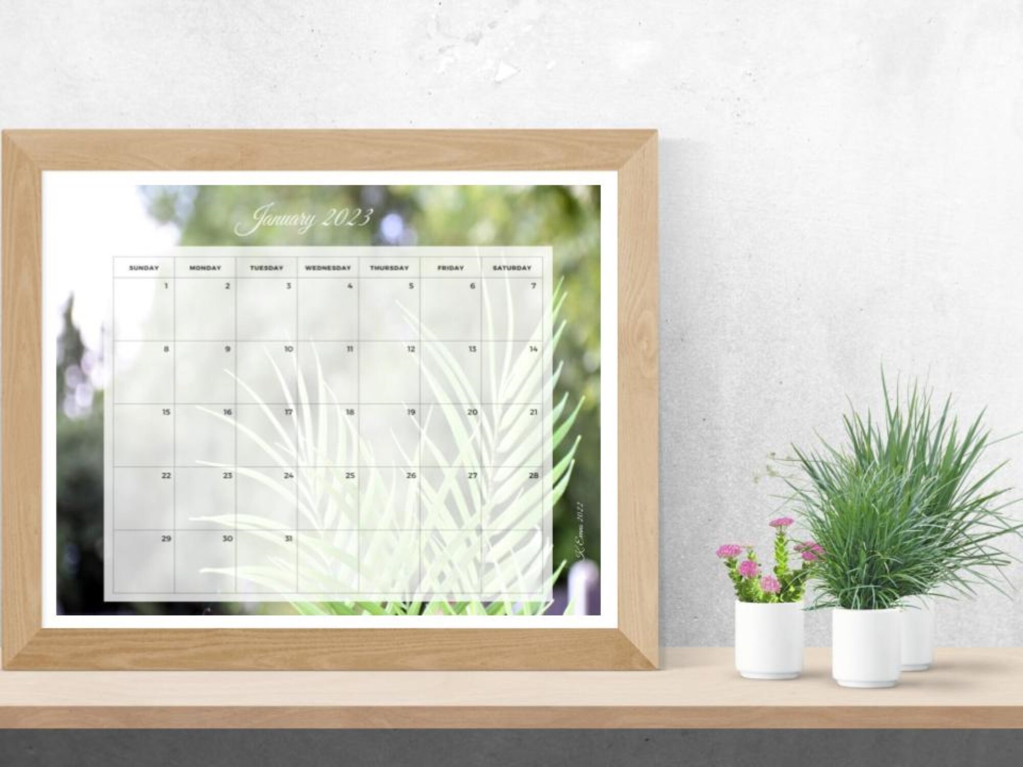 2023 Botanical Printable Calendar PDF Photography - Etsy