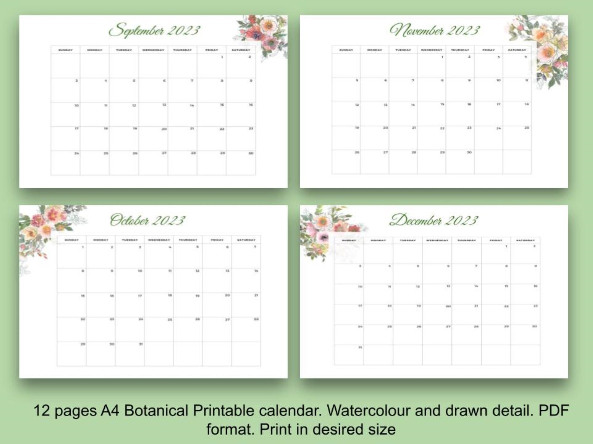 Botanical Sketch/water Colour Print 2023 Calendar 2023. A4 Printable ...