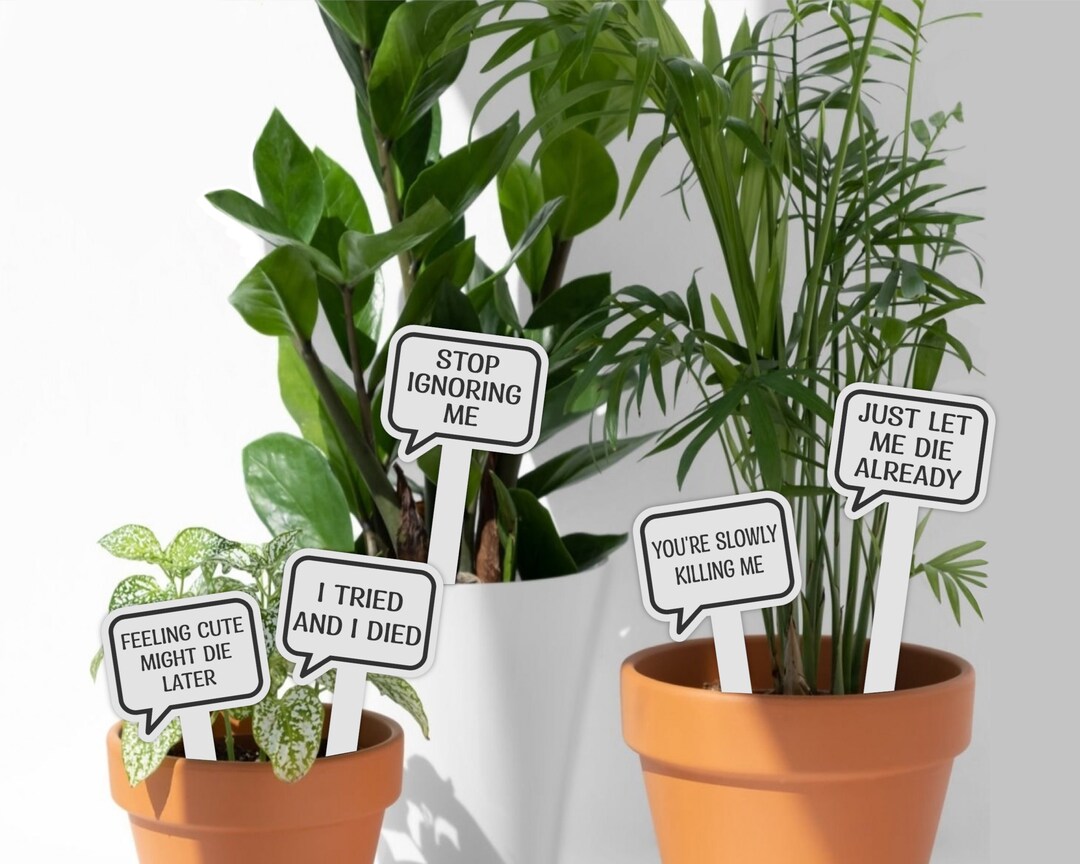 Funny Plant Stakes set 1, Plant Markers, Plant Tags - Etsy