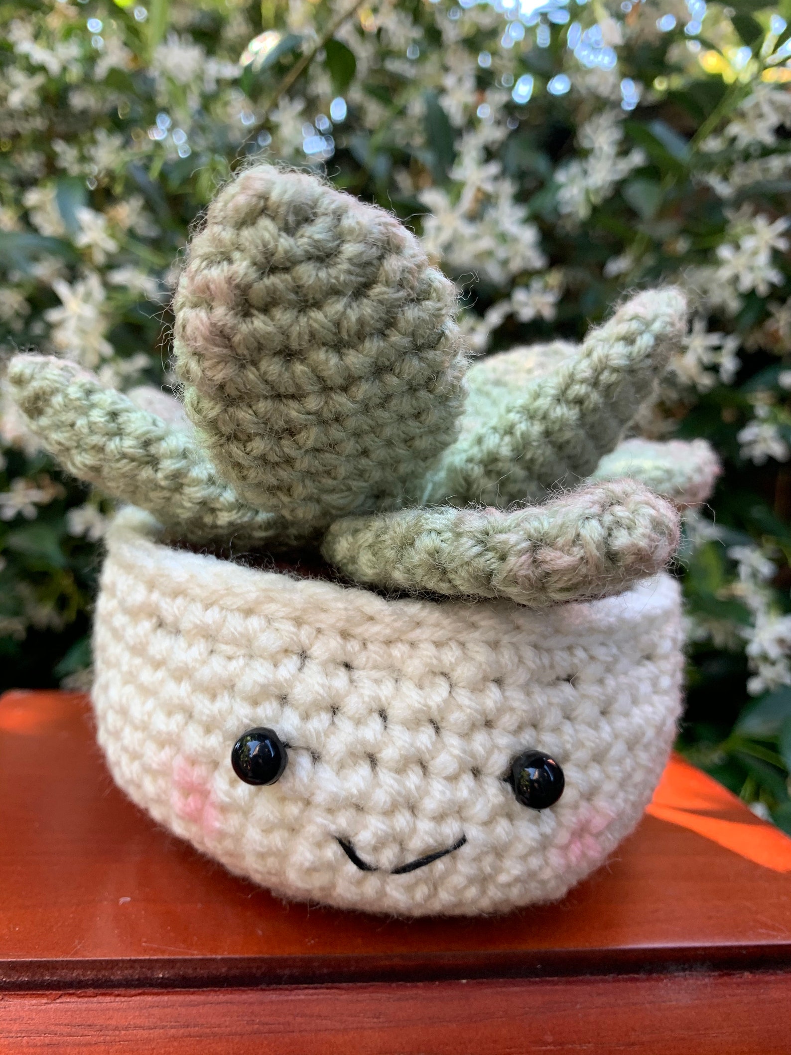 Crocheted Succulent Plant - Etsy