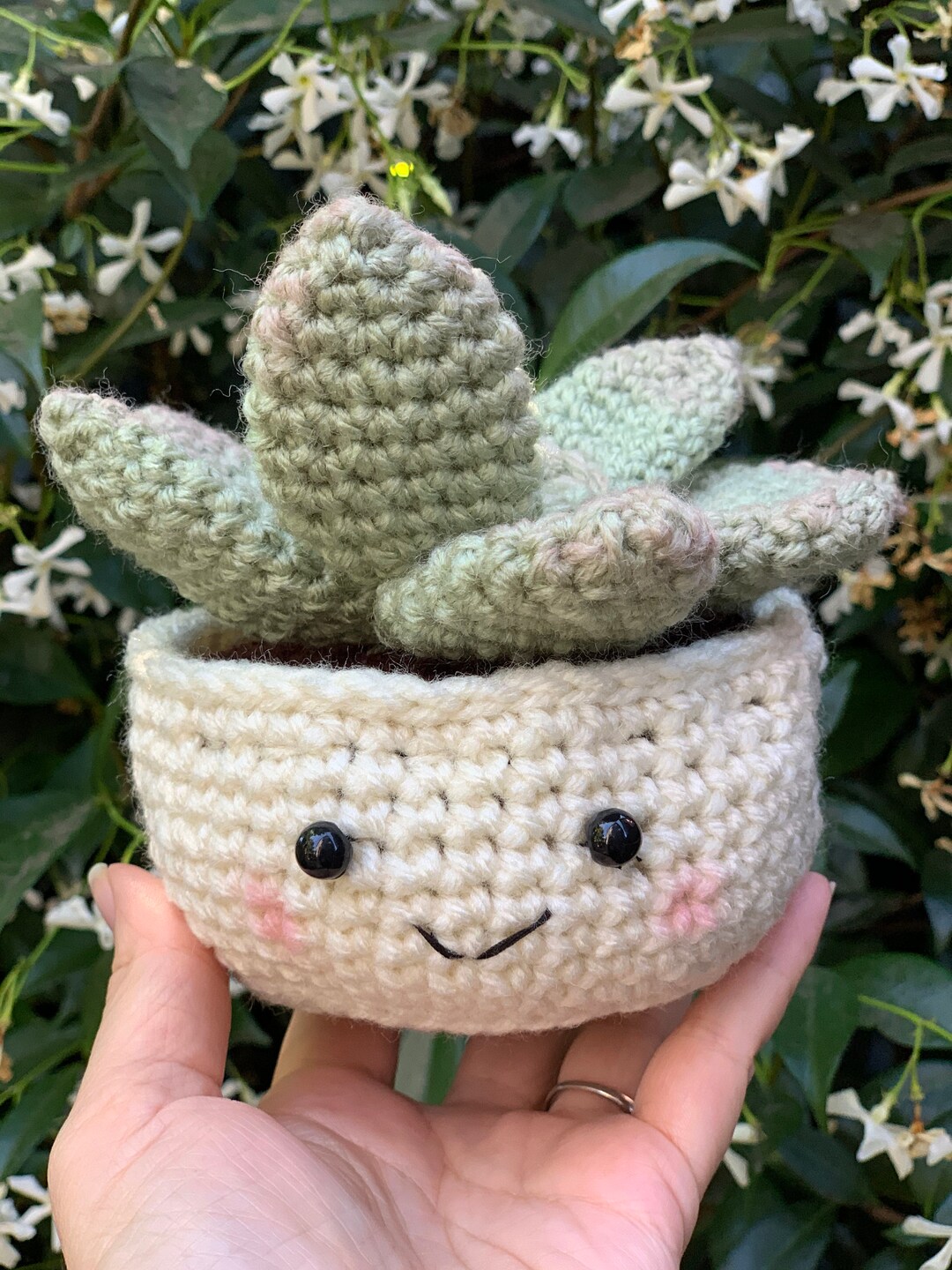 Crocheted Succulent Plant - Etsy