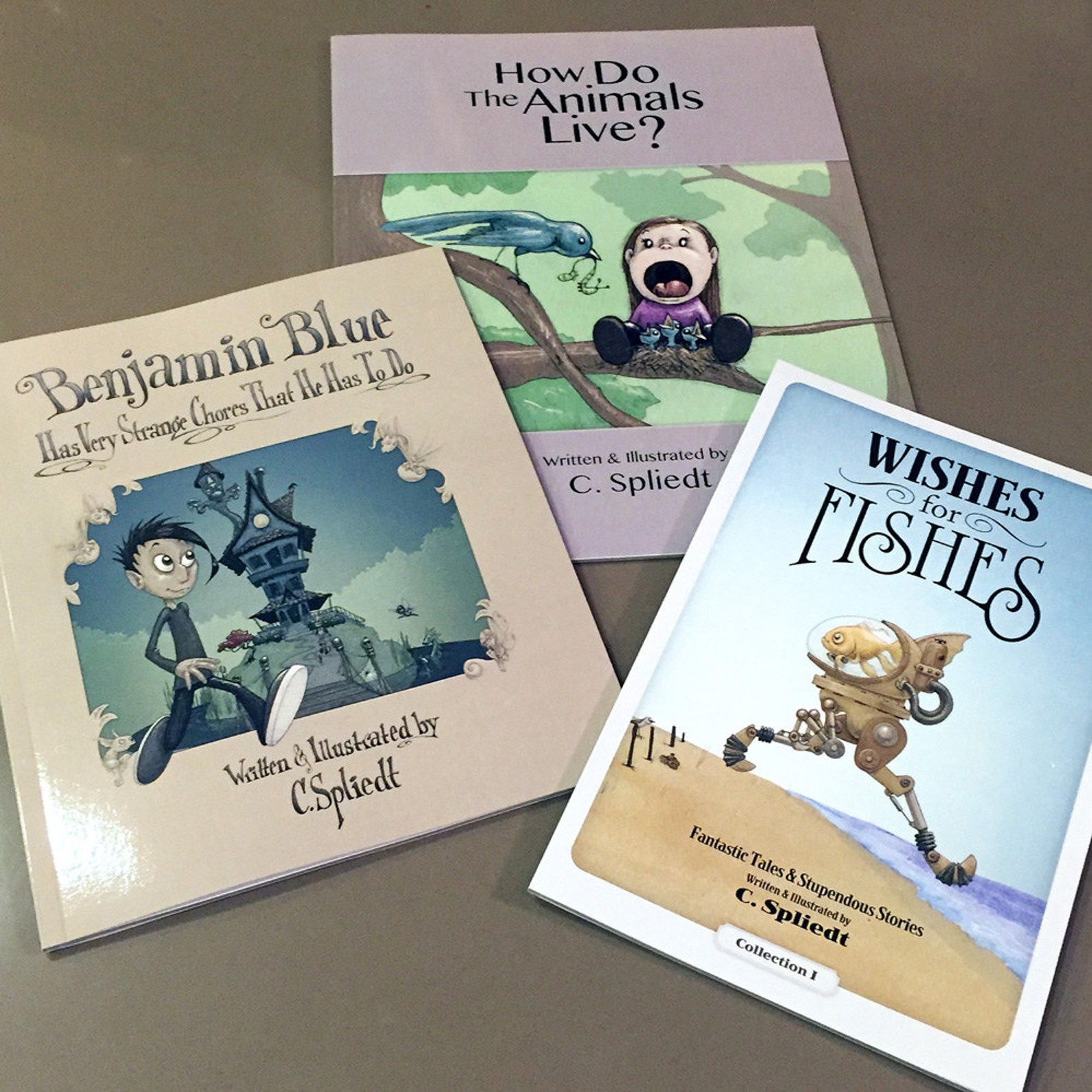 Children's Book Package (3 Books!) Written and Illustrated by C ...