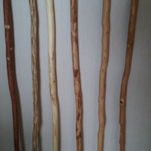 Walking Sticks - Etsy