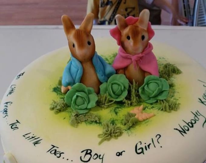 Beatrix Potter Inspired Peter Rabbit Cake Topper - Etsy