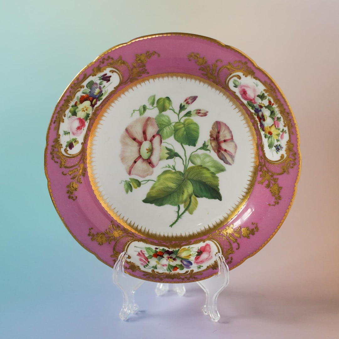 Rare Antique Minton Pompadour Pink Compote | Rococo Revival | Victorian ...