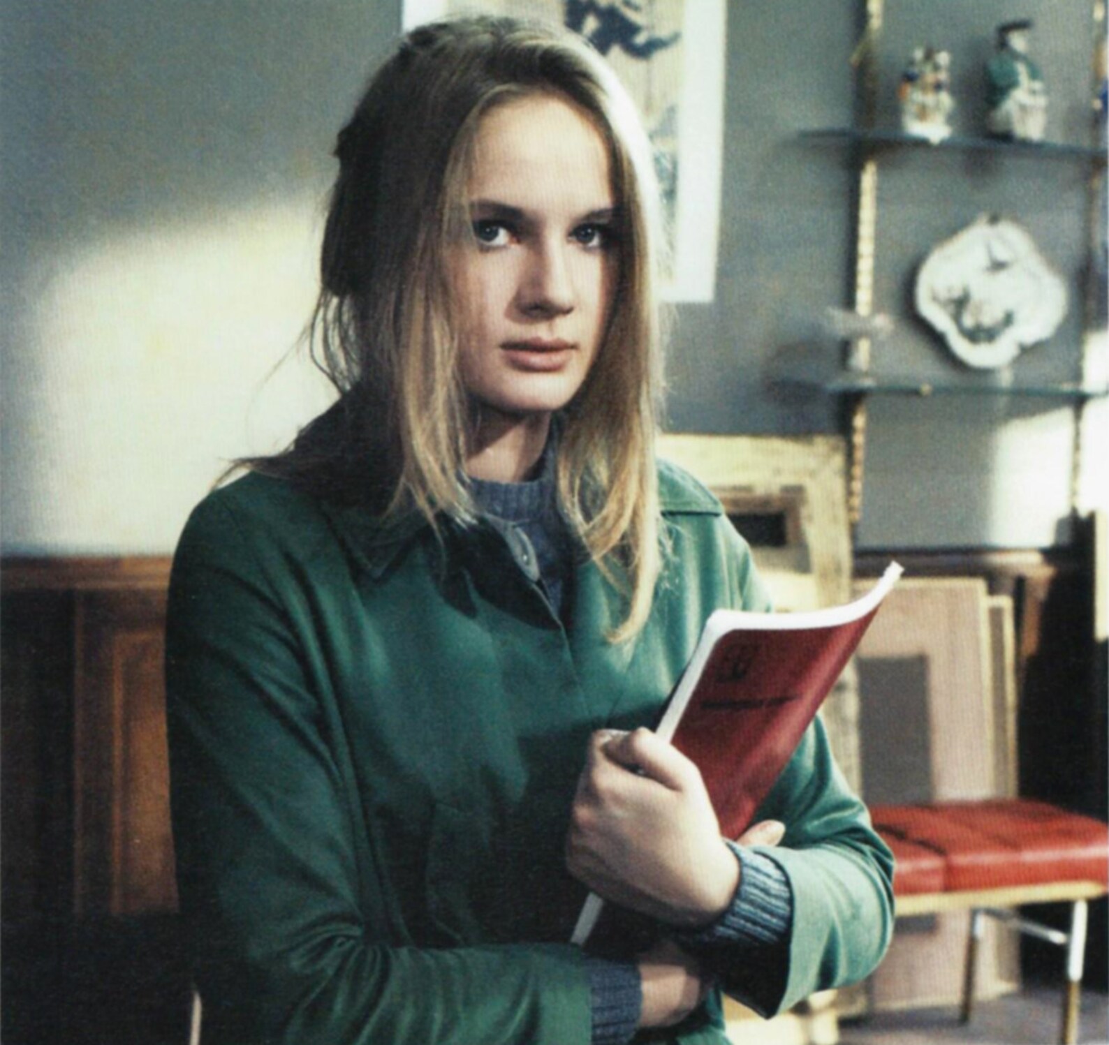 A Gentle Woman Chirashi Poster - Etsy