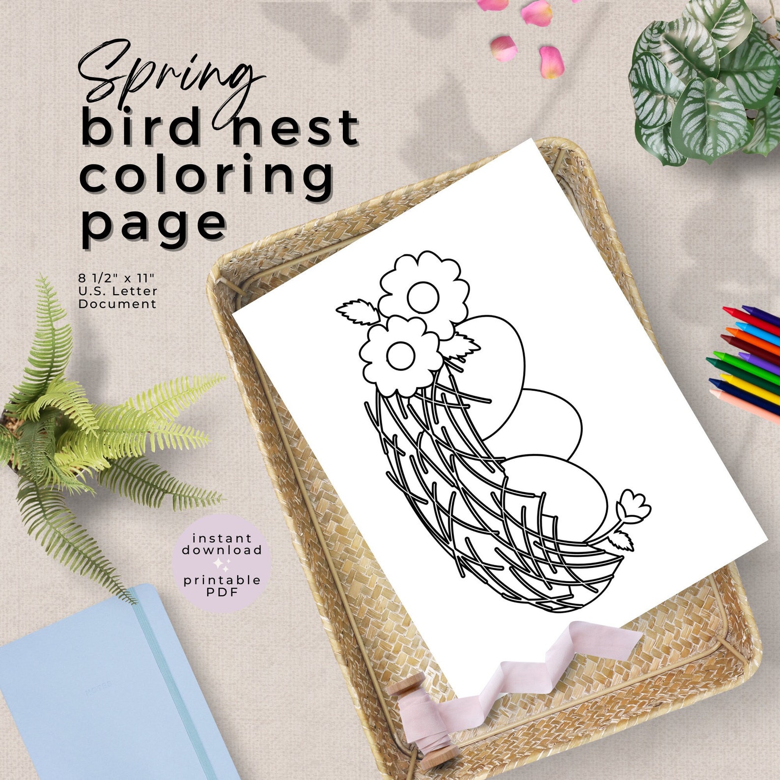 Spring Bird Nest Coloring Page Printable Bird Nest Coloring - Etsy ...